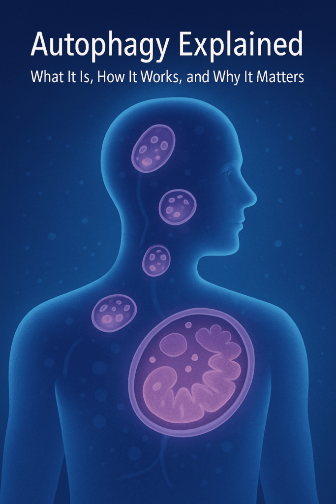 Autophagy Explained: What It Is, How It Works, and Why It Matters ...
