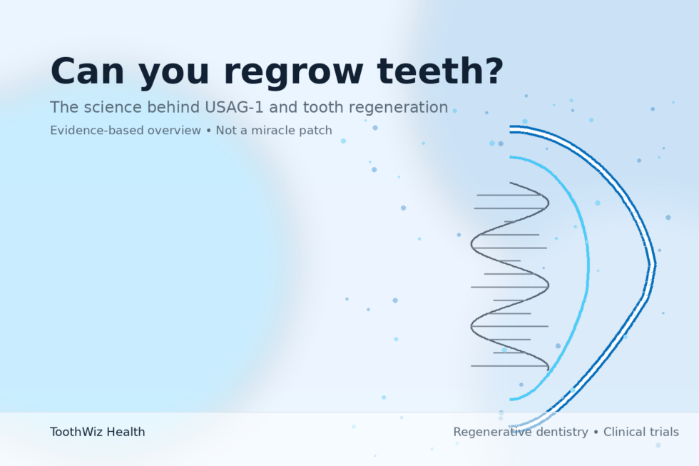 Can You Regrow Teeth? The Truth About USAG-1, Tooth Regrowth, and What ...