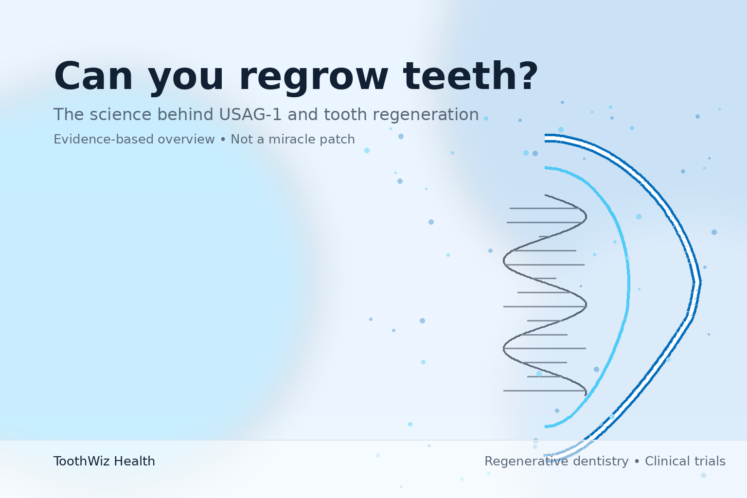 Can You Regrow Teeth? The Truth About USAG-1, Tooth Regrowth, and What ...